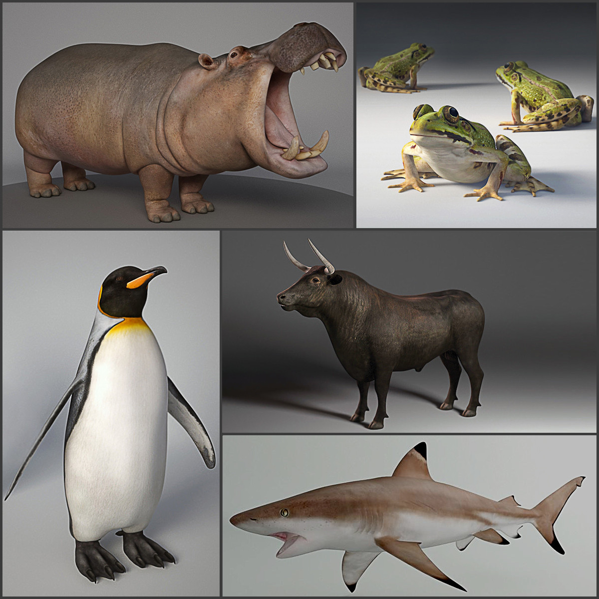 ArtStation - Textured Animals