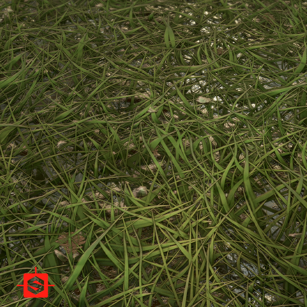ArtStation - Procedural grass Substance Designer