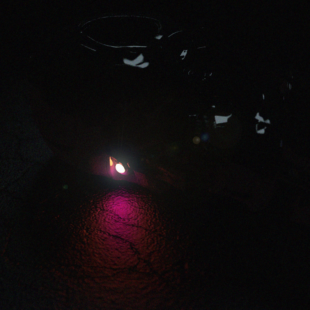 ArtStation - Fading Light