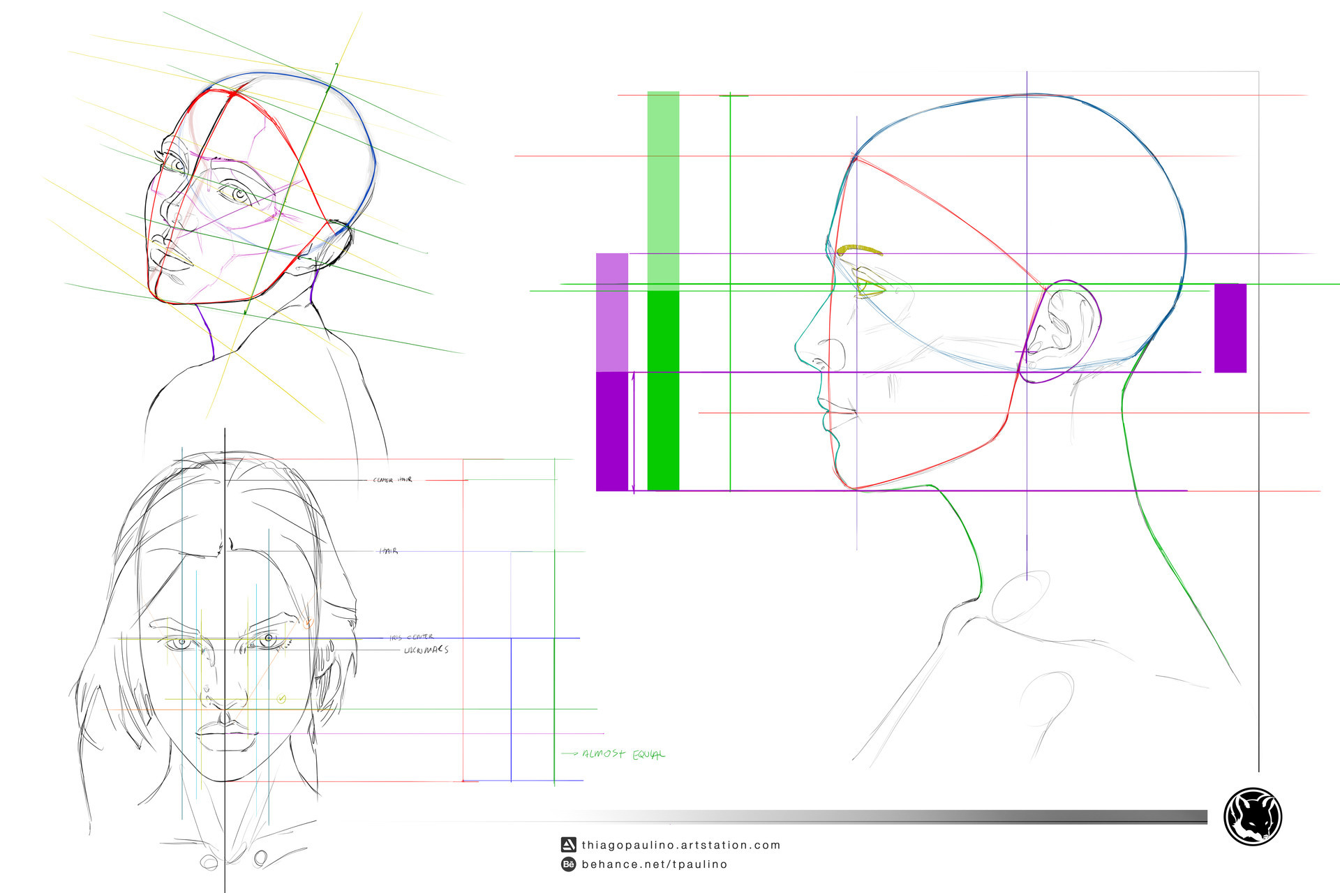 ArtStation - Female Head Proportions - Study