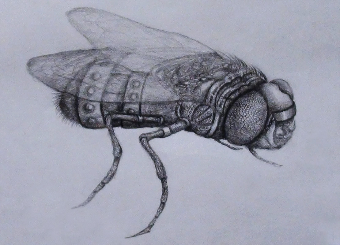 ArtStation - Sketching