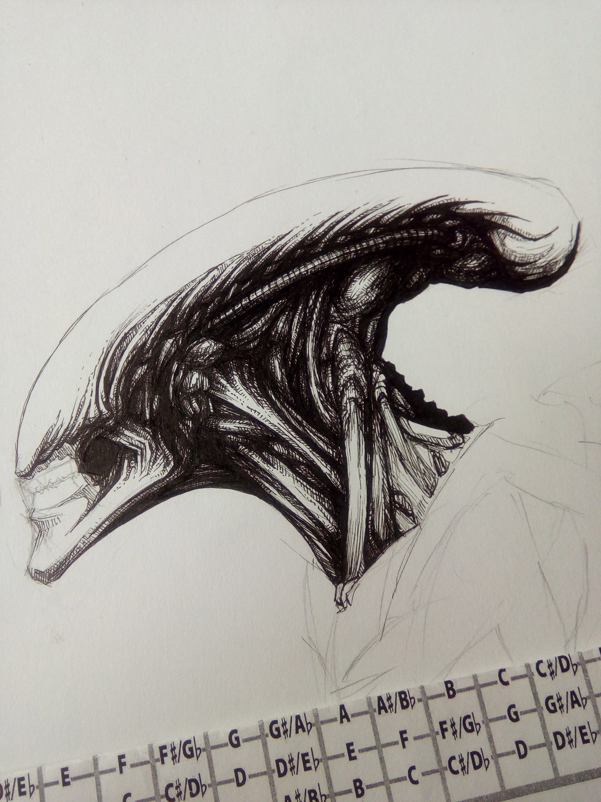 ArtStation - Alien sketch