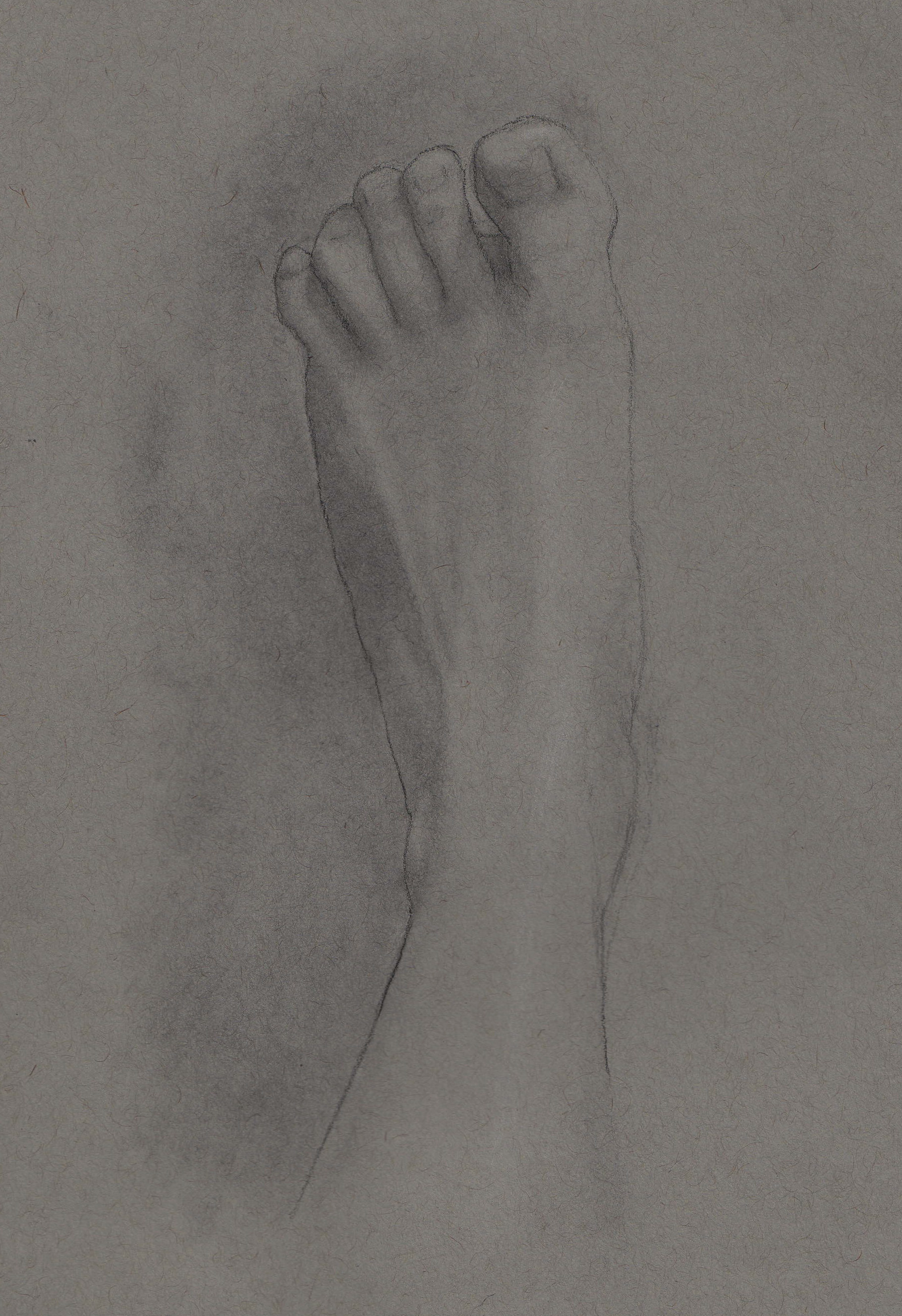 ArtStation - Foot Study from life