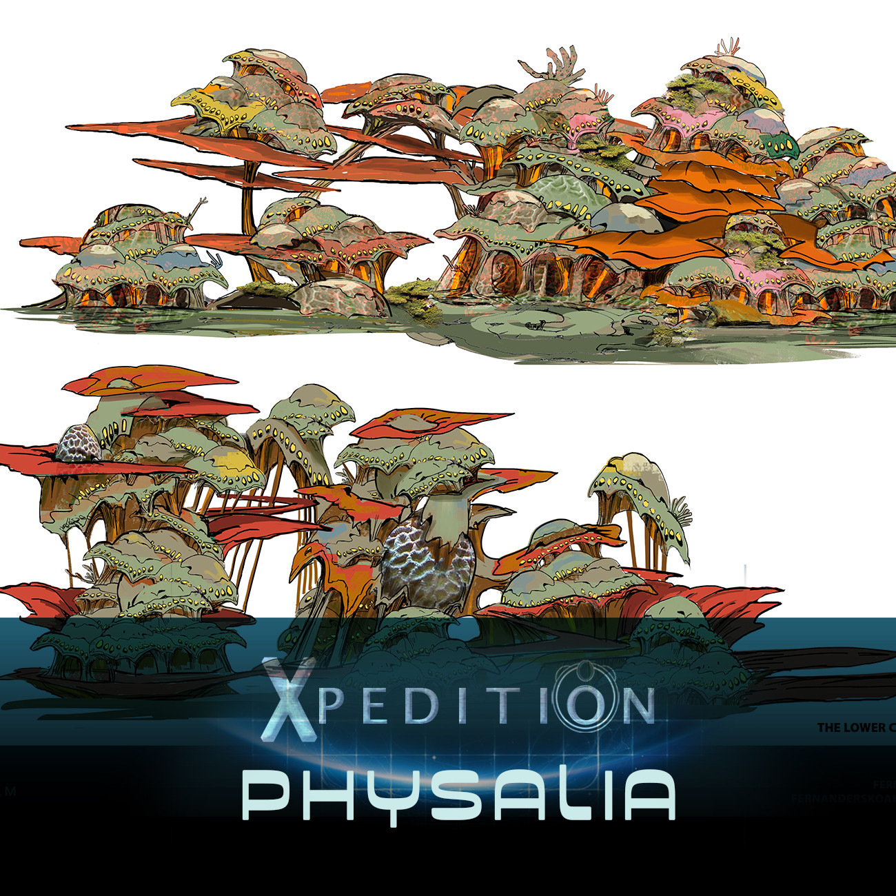 ArtStation - The Lower Class of Physalia