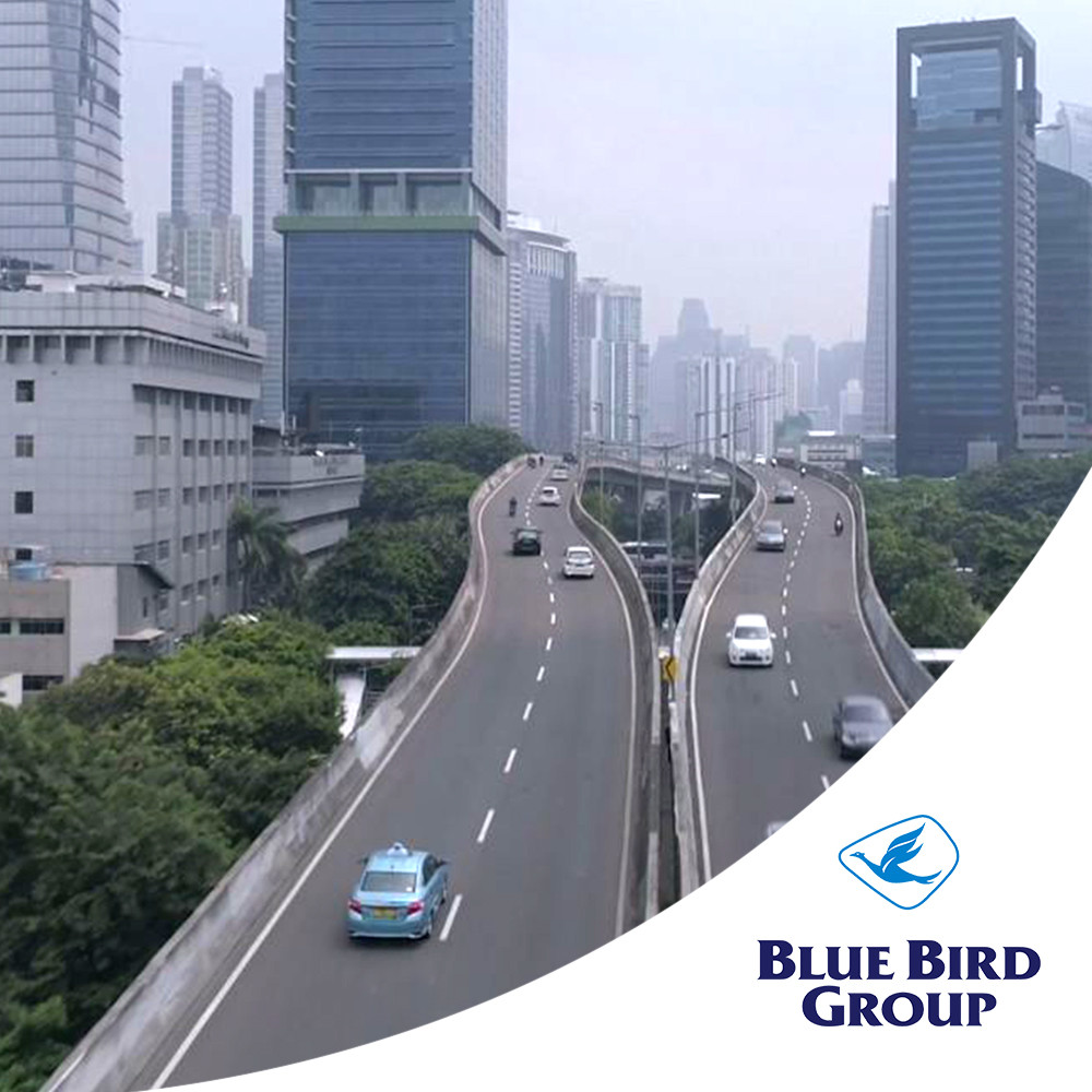 Abraham Nethanel S Jr. - Blue Bird Rotoscope