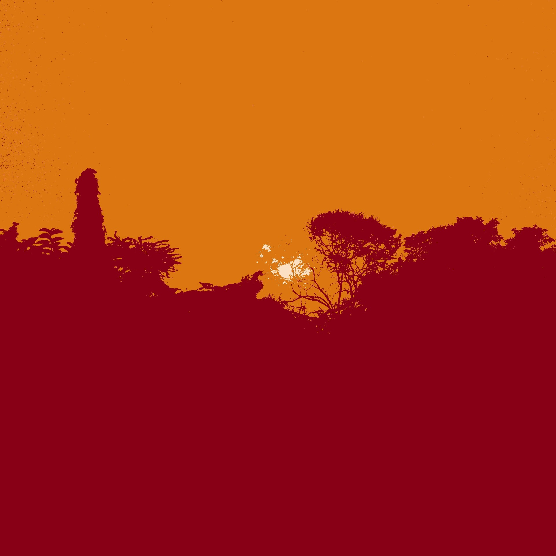 ArtStation - The Distant forest