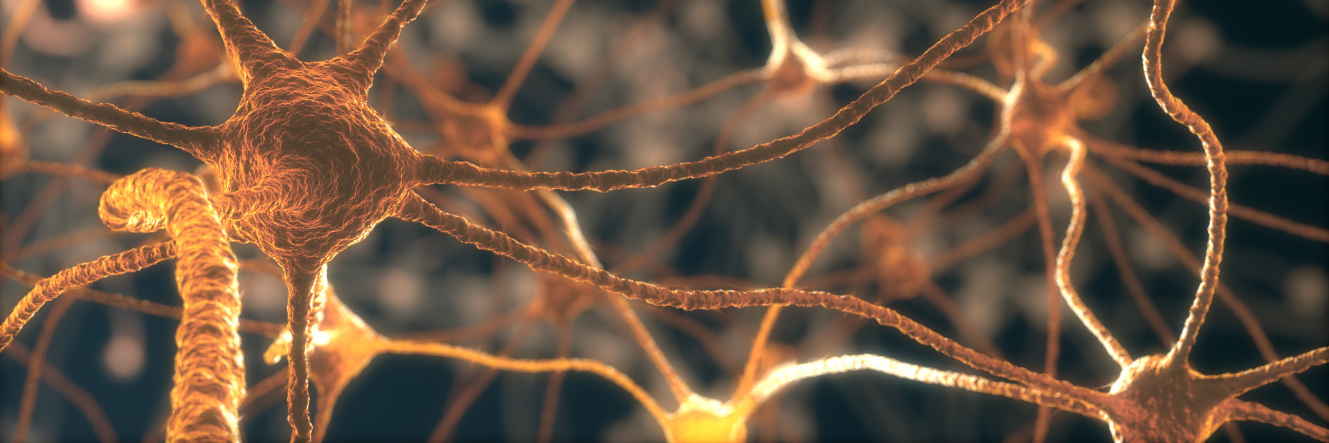 ArtStation - Procedural Nerves System