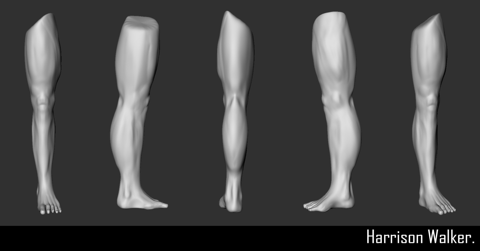 ArtStation - Anatomy study.