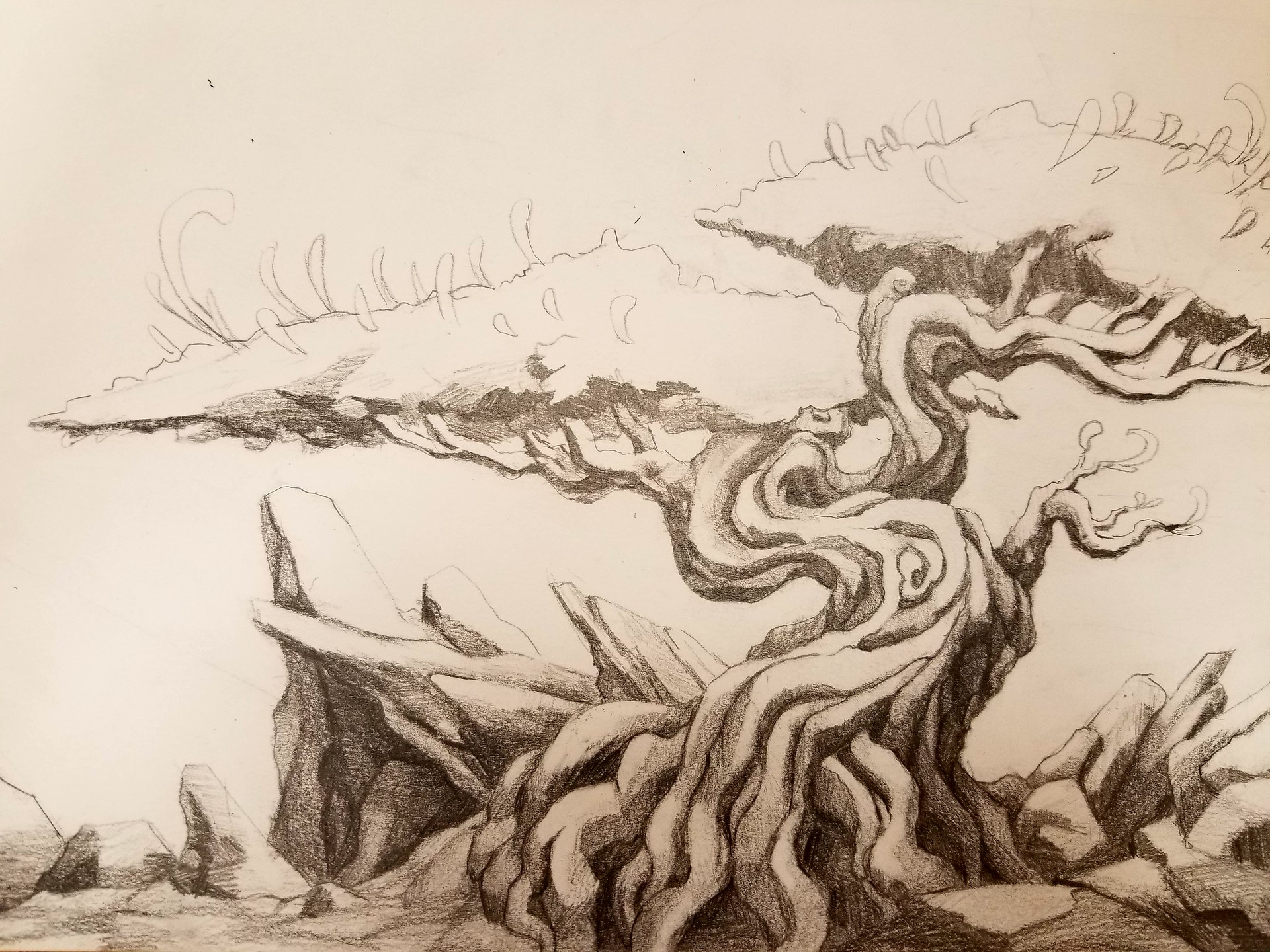 ArtStation - Tree sketch