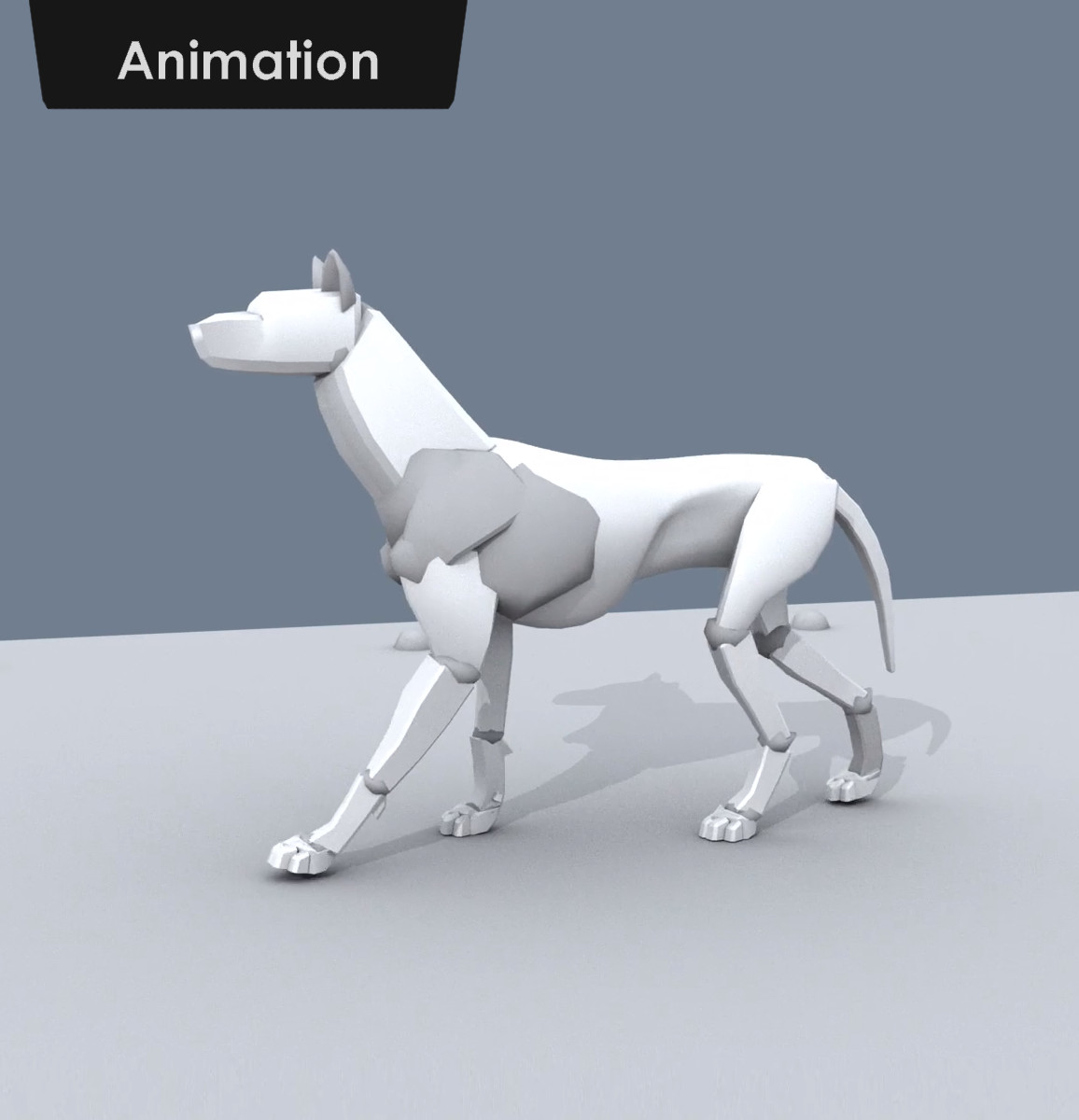 ArtStation - Dog Locomotion