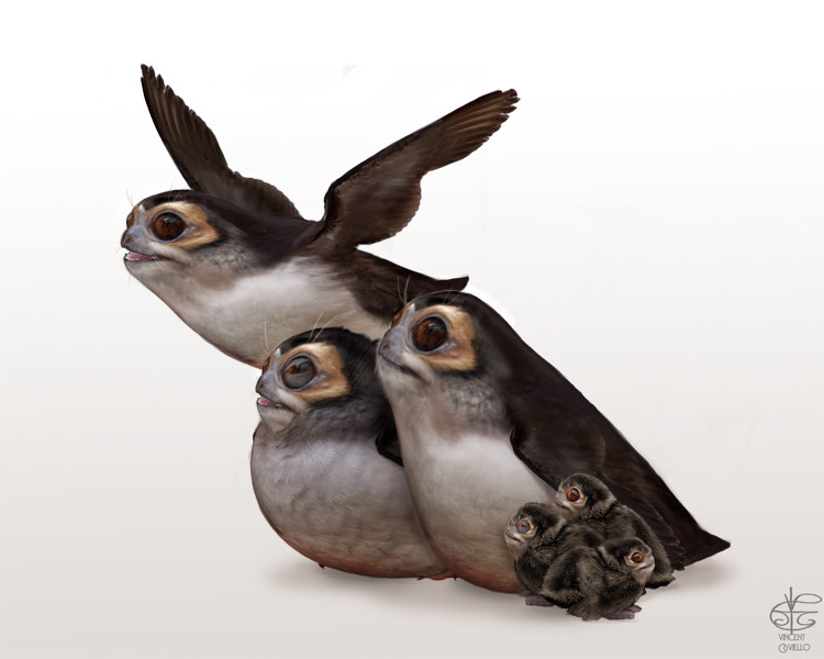 ArtStation - Porgs