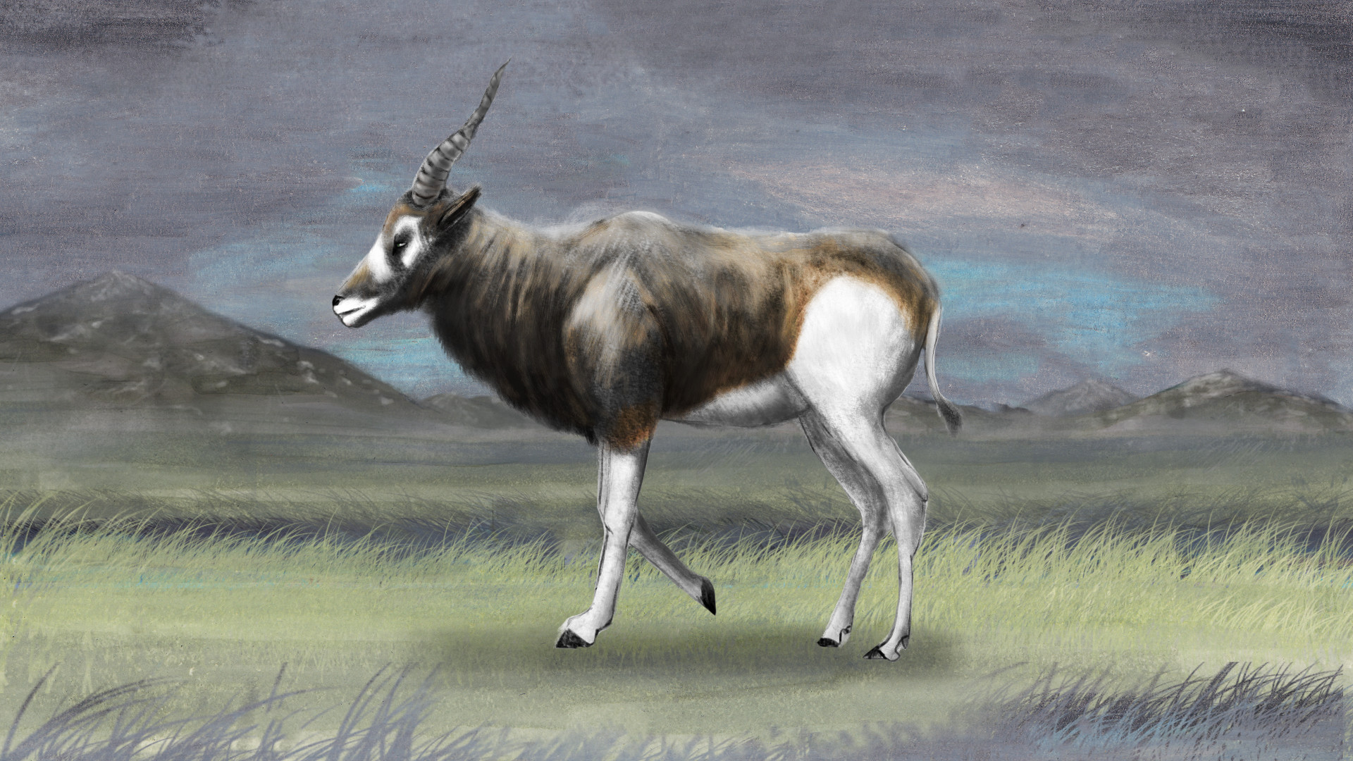 ArtStation - Animal Hodgepodge