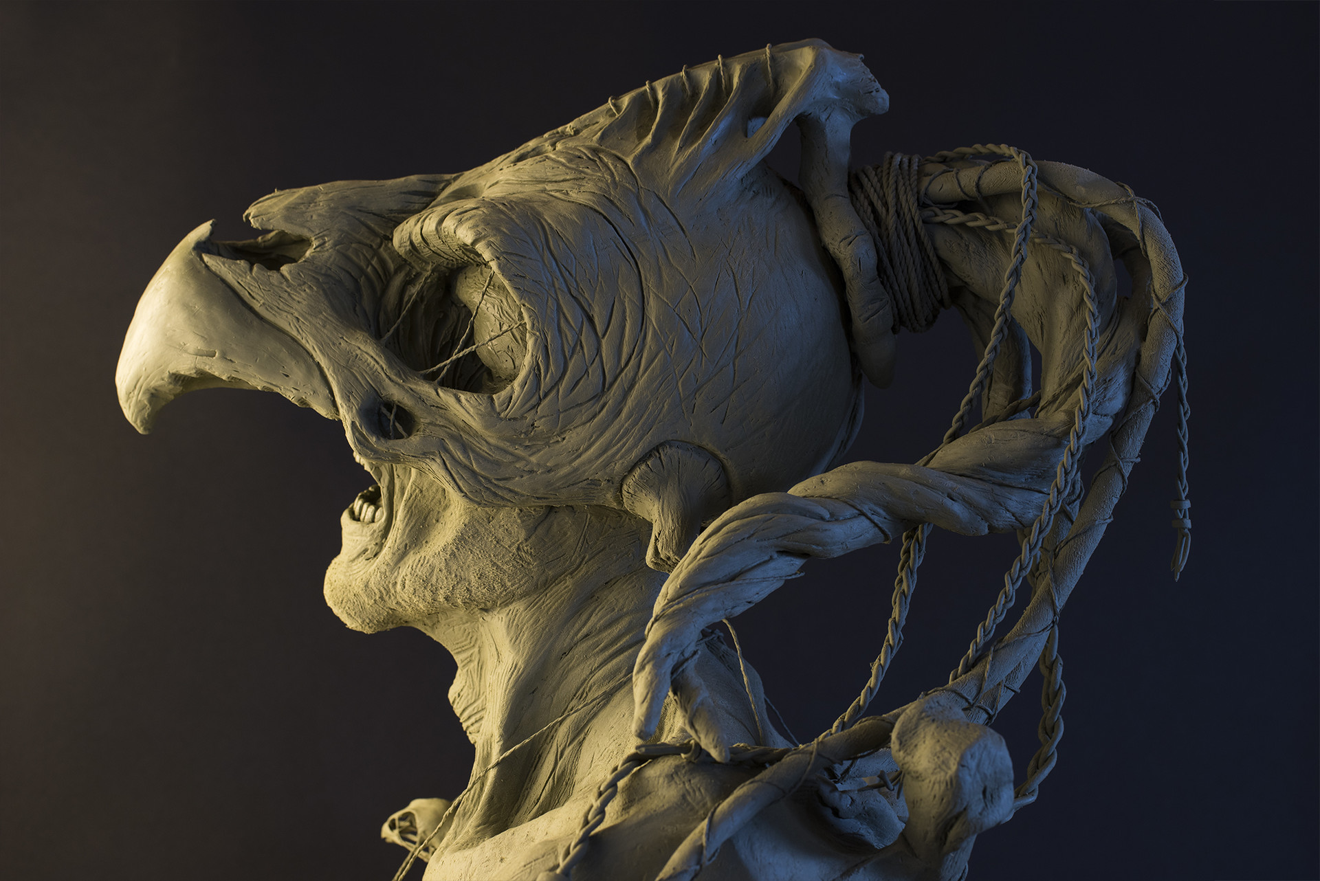 ArtStation - Life Size Creature Bust