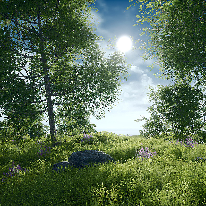 ArtStation - UE4 Forest Environment