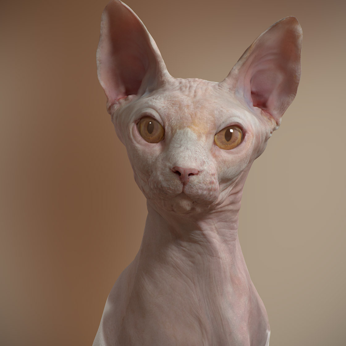 ArtStation - Sphynx cat
