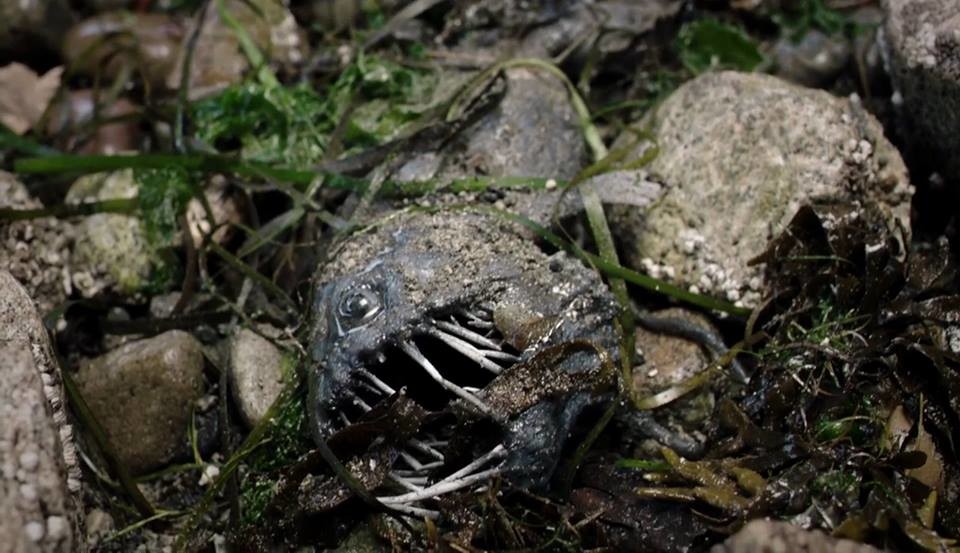 ArtStation - Excorcist fish