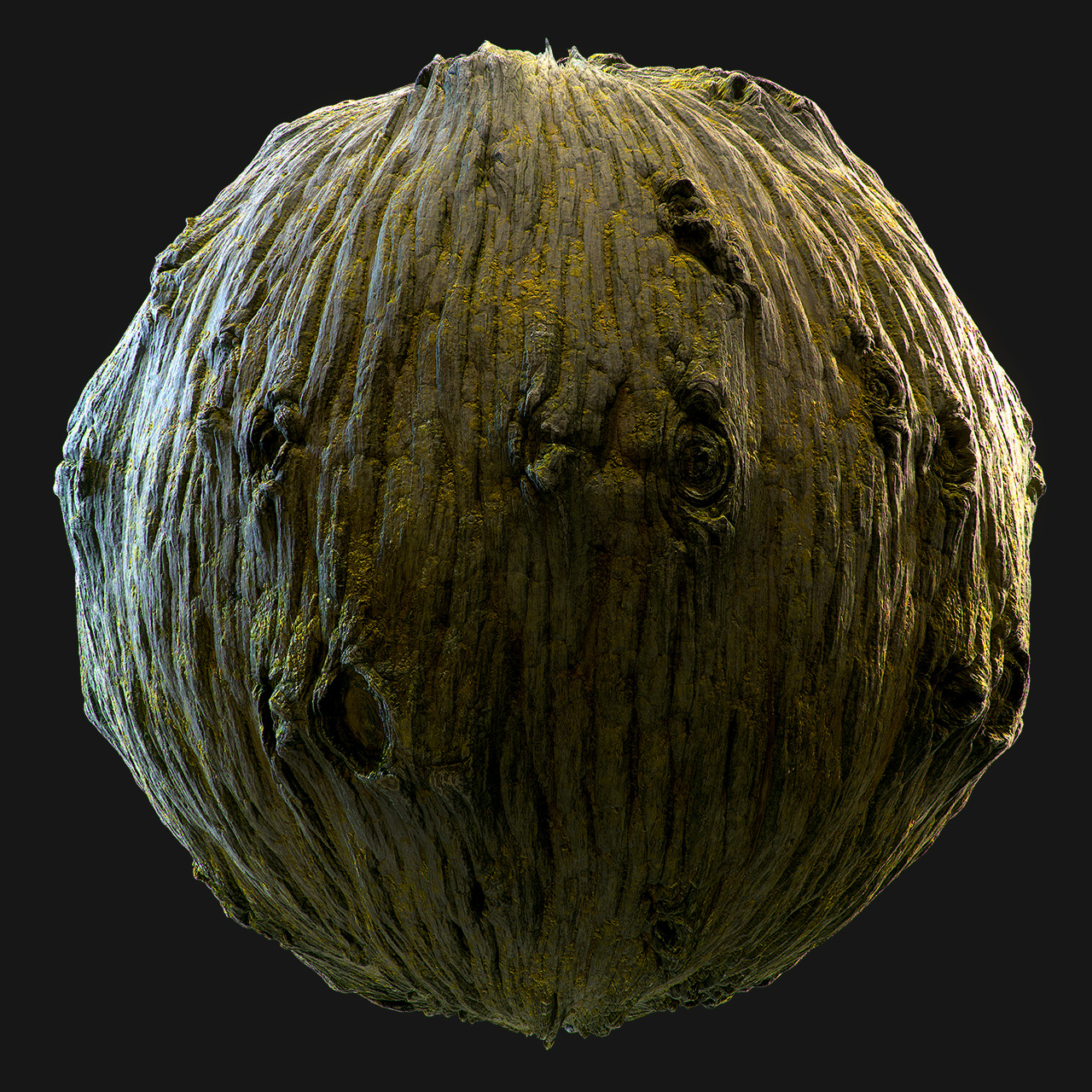 ArtStation - Old Tree Bark