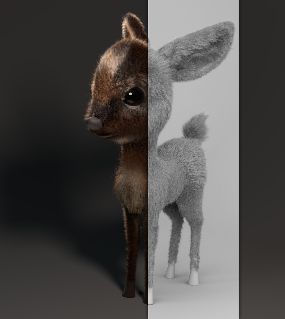 ArtStation - Fur Study: Fawn