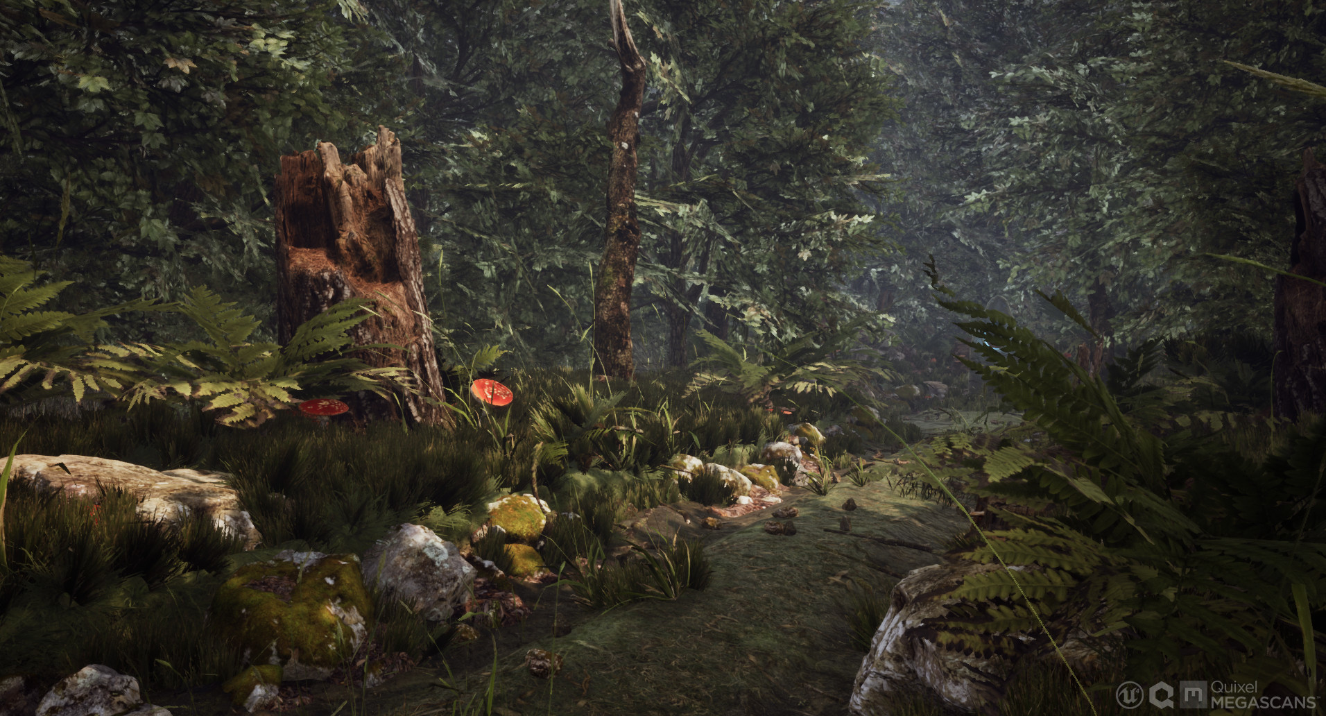 ArtStation - Forest Fantasy Scene