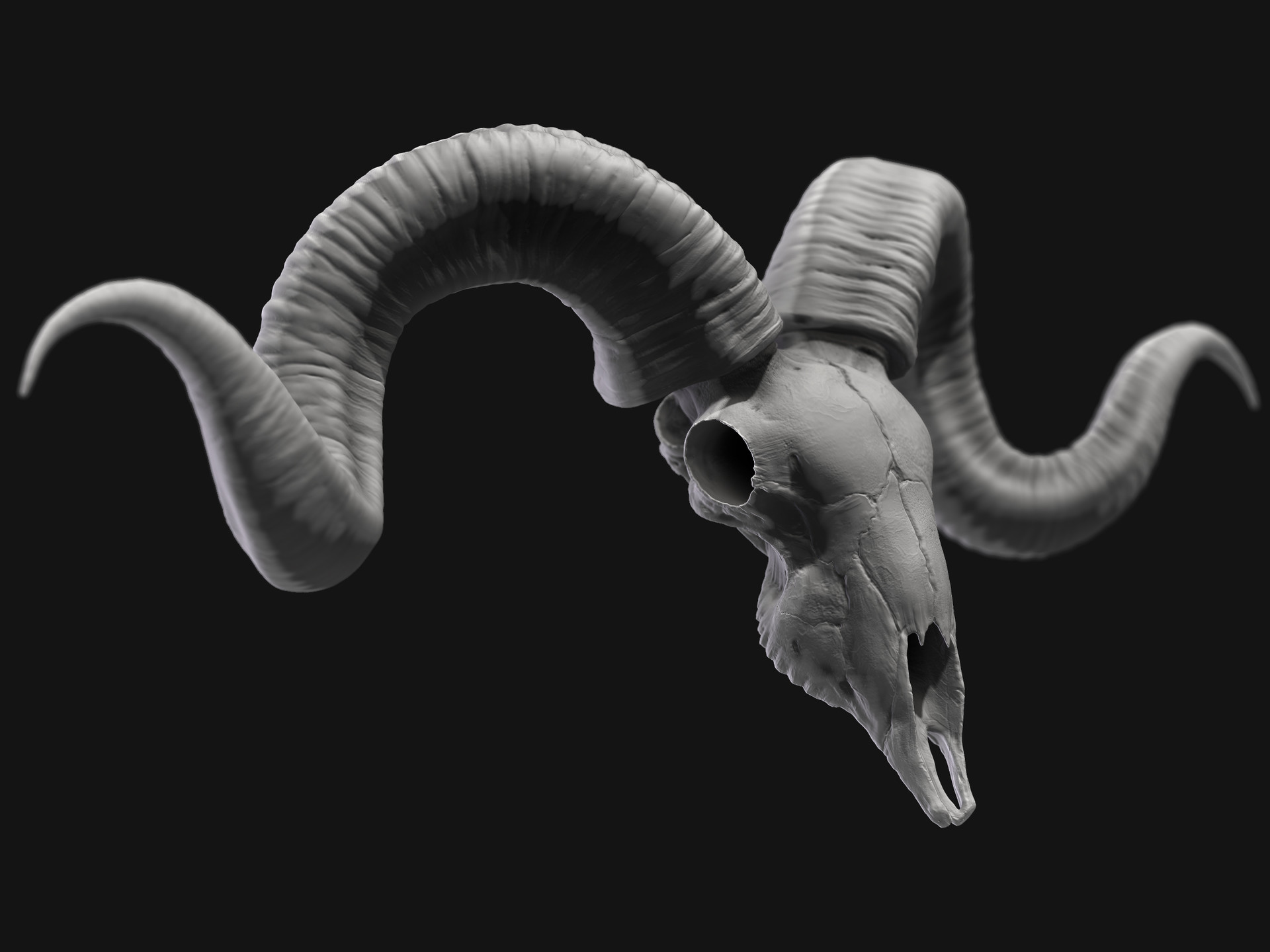 ArtStation - zbrush sculpting practice