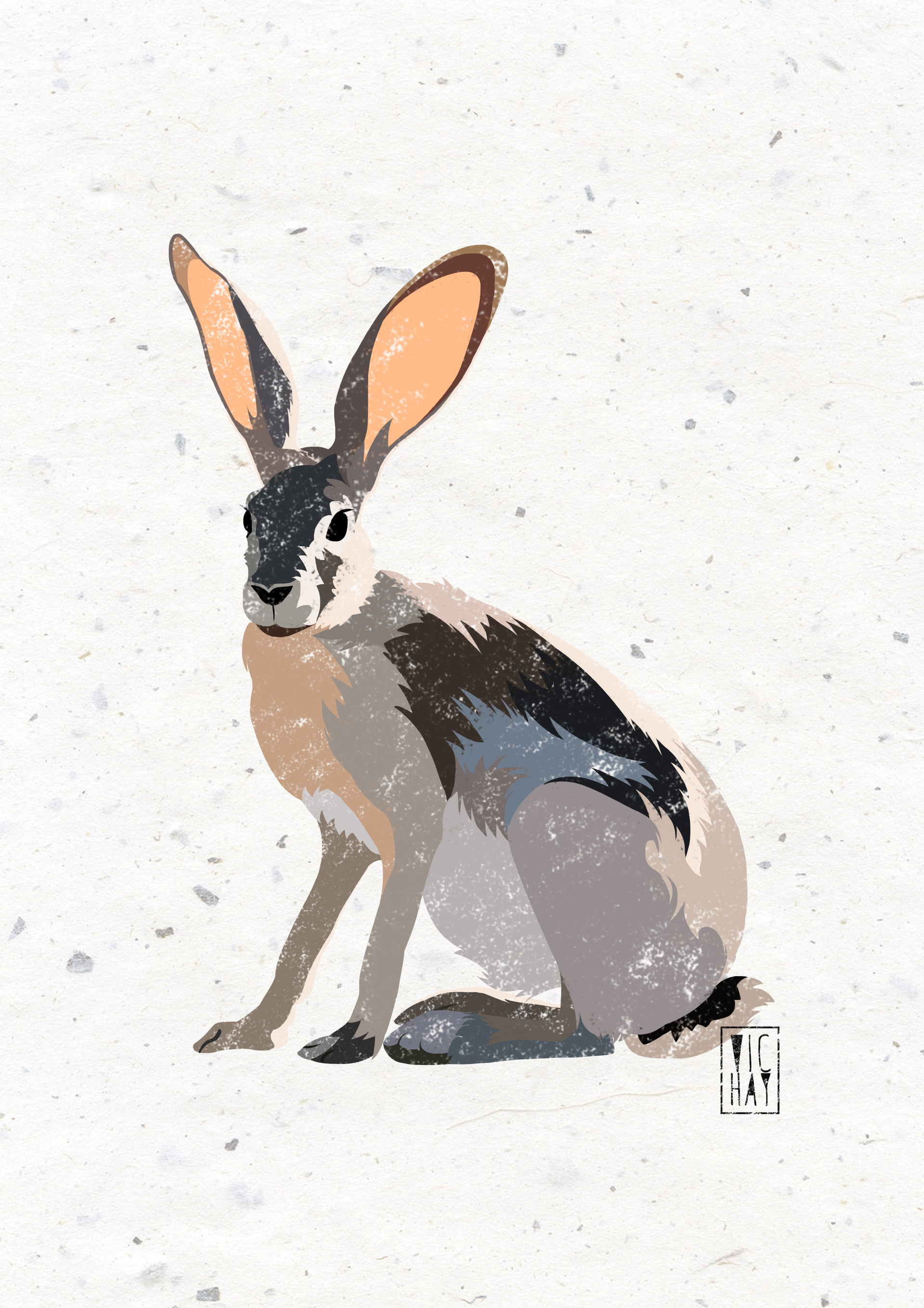ArtStation - Jackrabbit