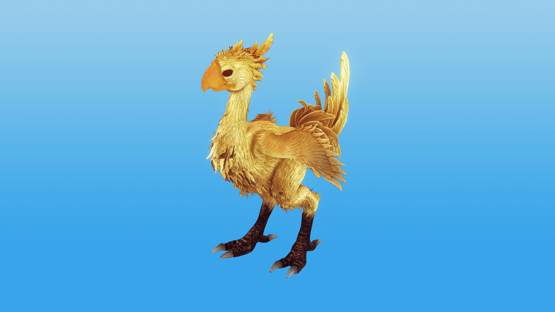 ArtStation - Chocobo Animated
