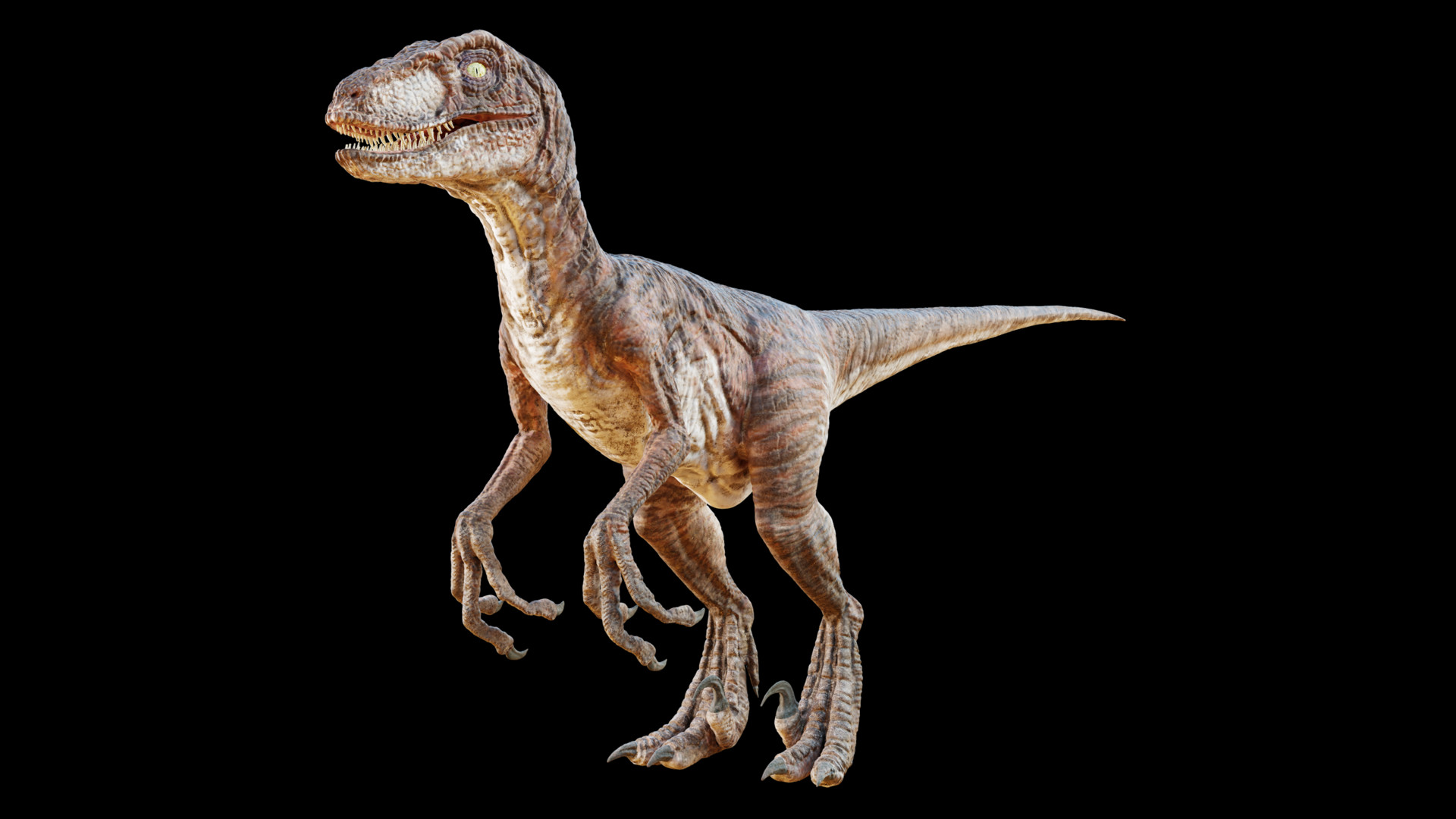 ArtStation - Velociraptor - 3D Model and Textures