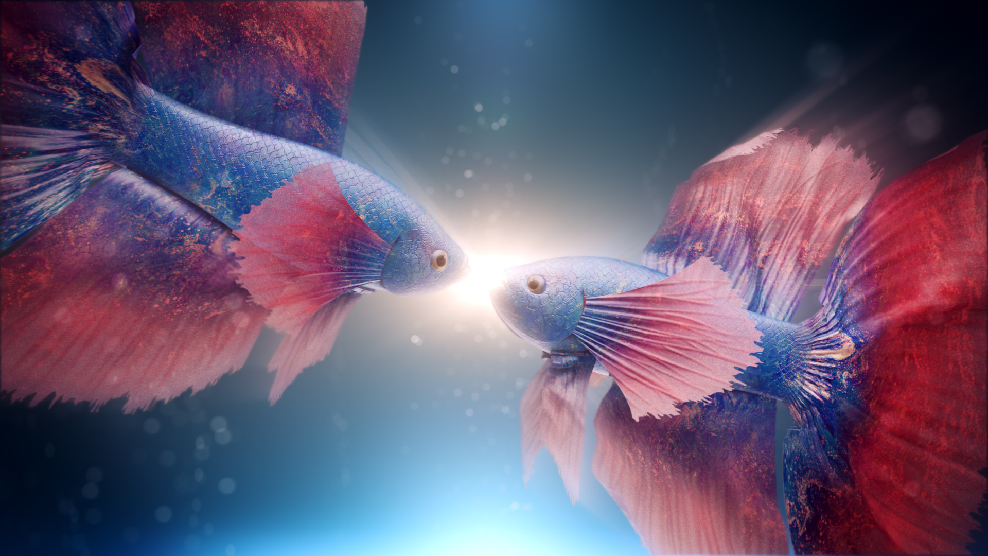 ArtStation - fight fish