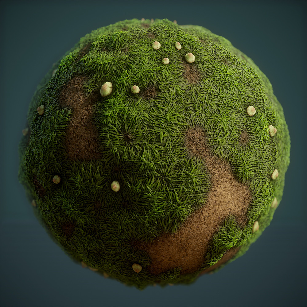 ArtStation - Patchy Mushroom Grass Substance