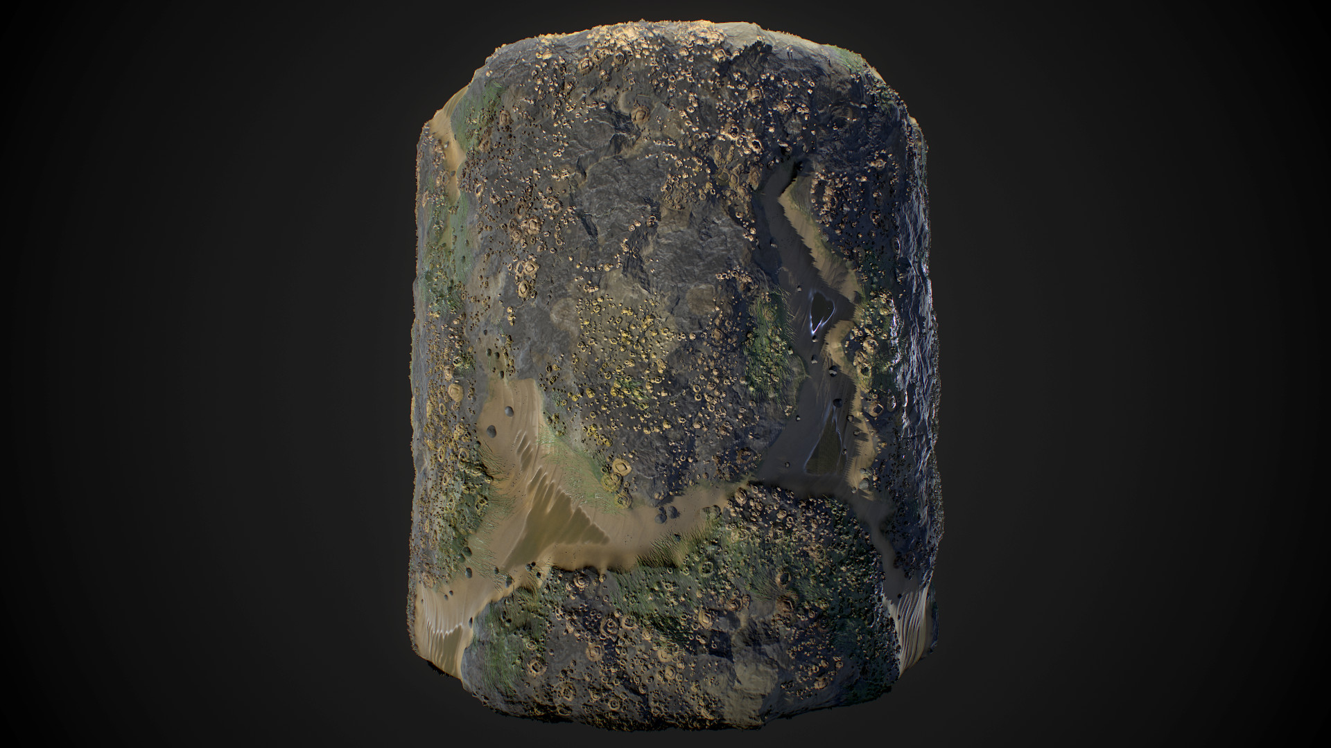 ArtStation - Procedural Barnacle Tide Pool