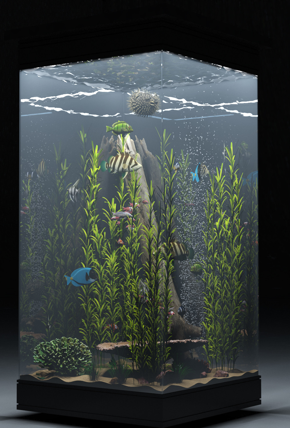 ArtStation - Aquarium