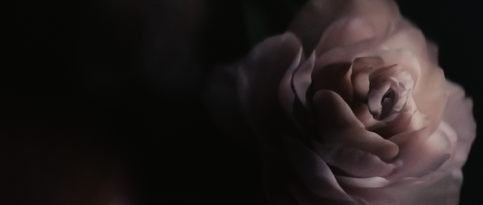 Henry Bullen - Kate Martin - Set My Life To Fire