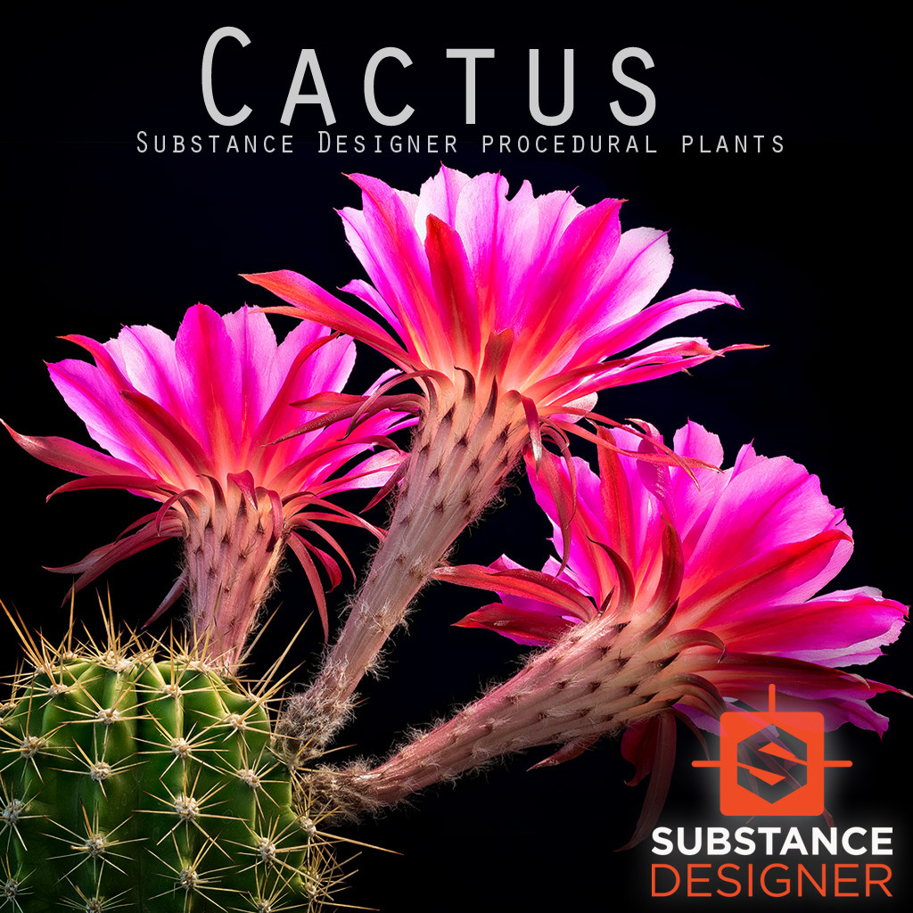 ArtStation - Cactus Substance