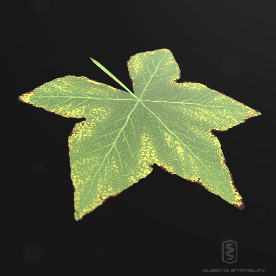 ArtStation - Procedural Leaf