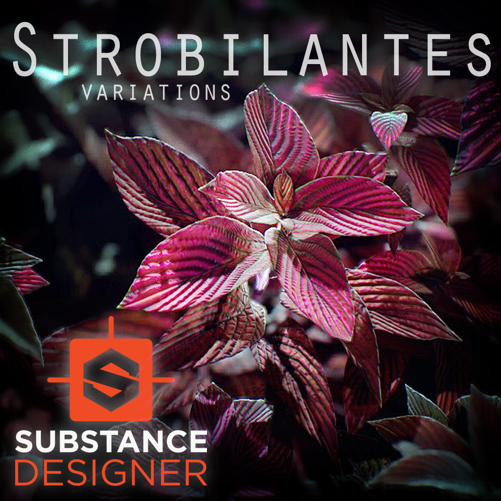 ArtStation - Substance Strobilantes