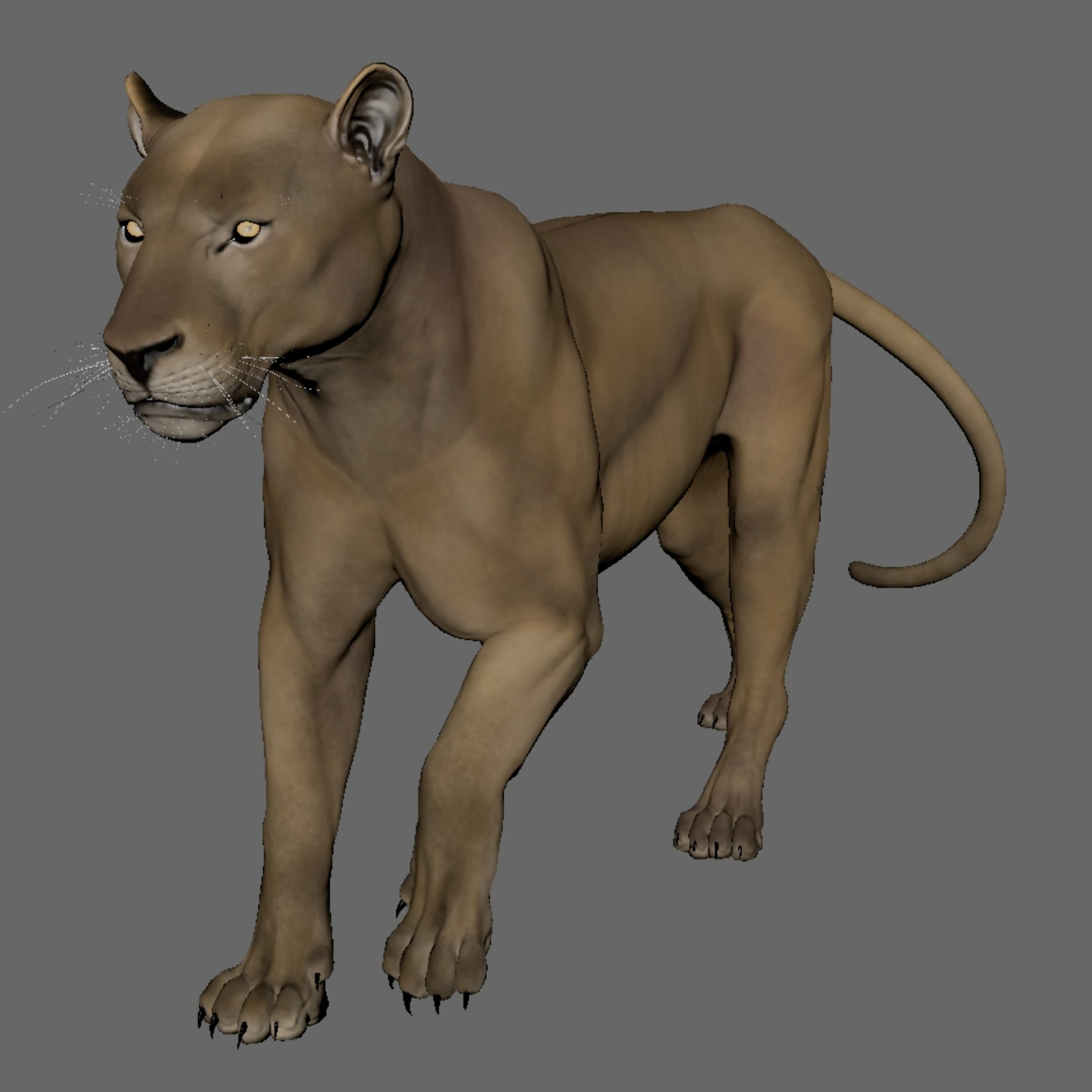 ArtStation - (WIP) Lion Walk Cycle