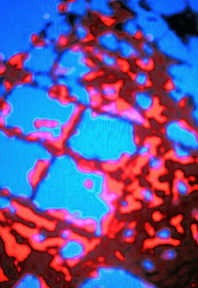 Terry Herbert - Broken.