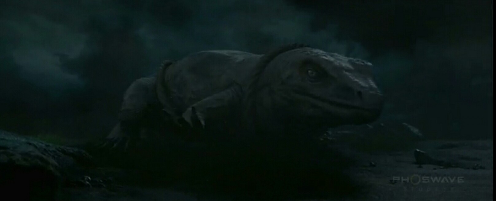 ArtStation - Monitor Lizard (ghorpad)