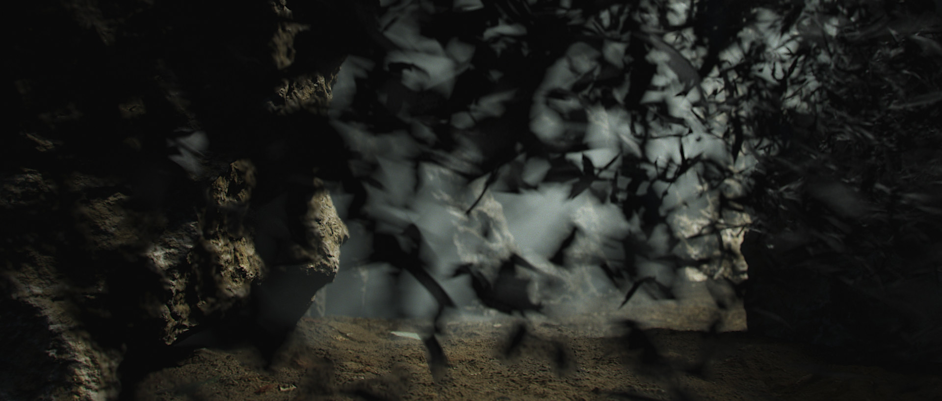 ArtStation - Bats Flocking Animation