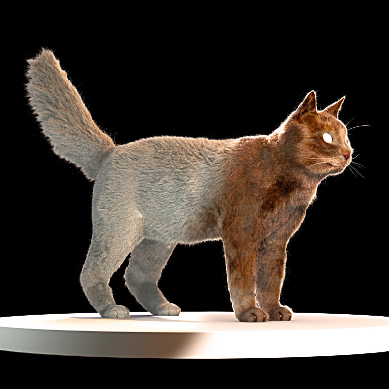 ArtStation - Cat Fur