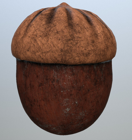 ArtStation - Acorn