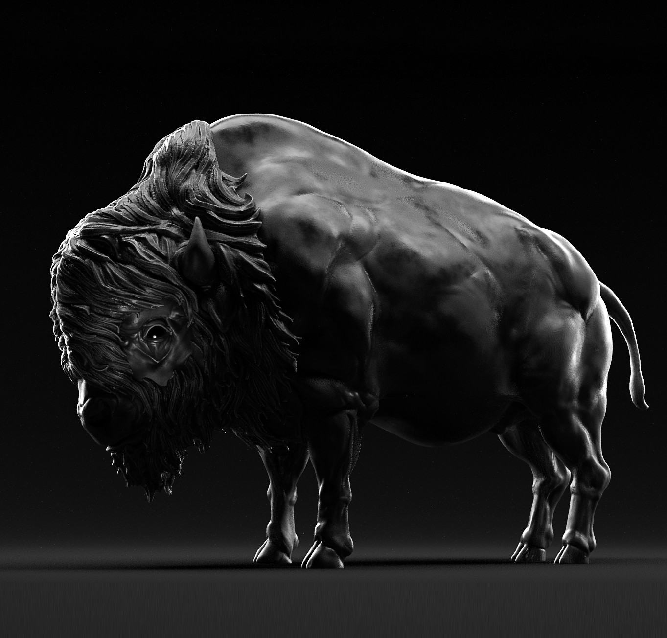 ArtStation - Bison - Anatomy and light study