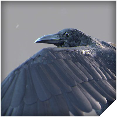 ArtStation - Character Crow for game project [ LowPoly ]