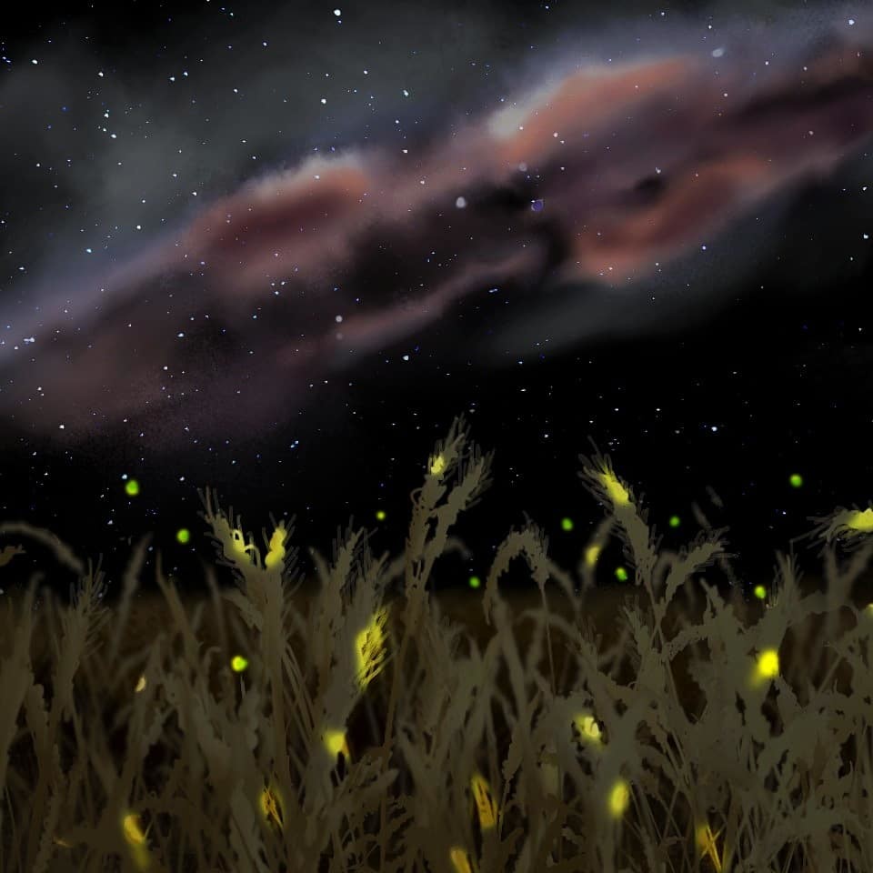 ArtStation - Fireflies