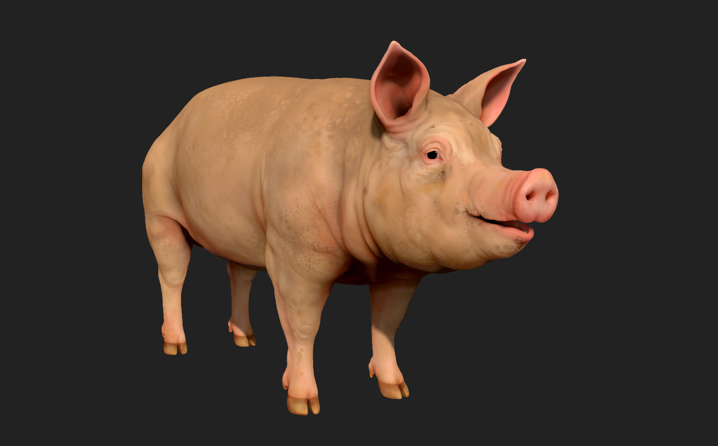 ArtStation - PIG