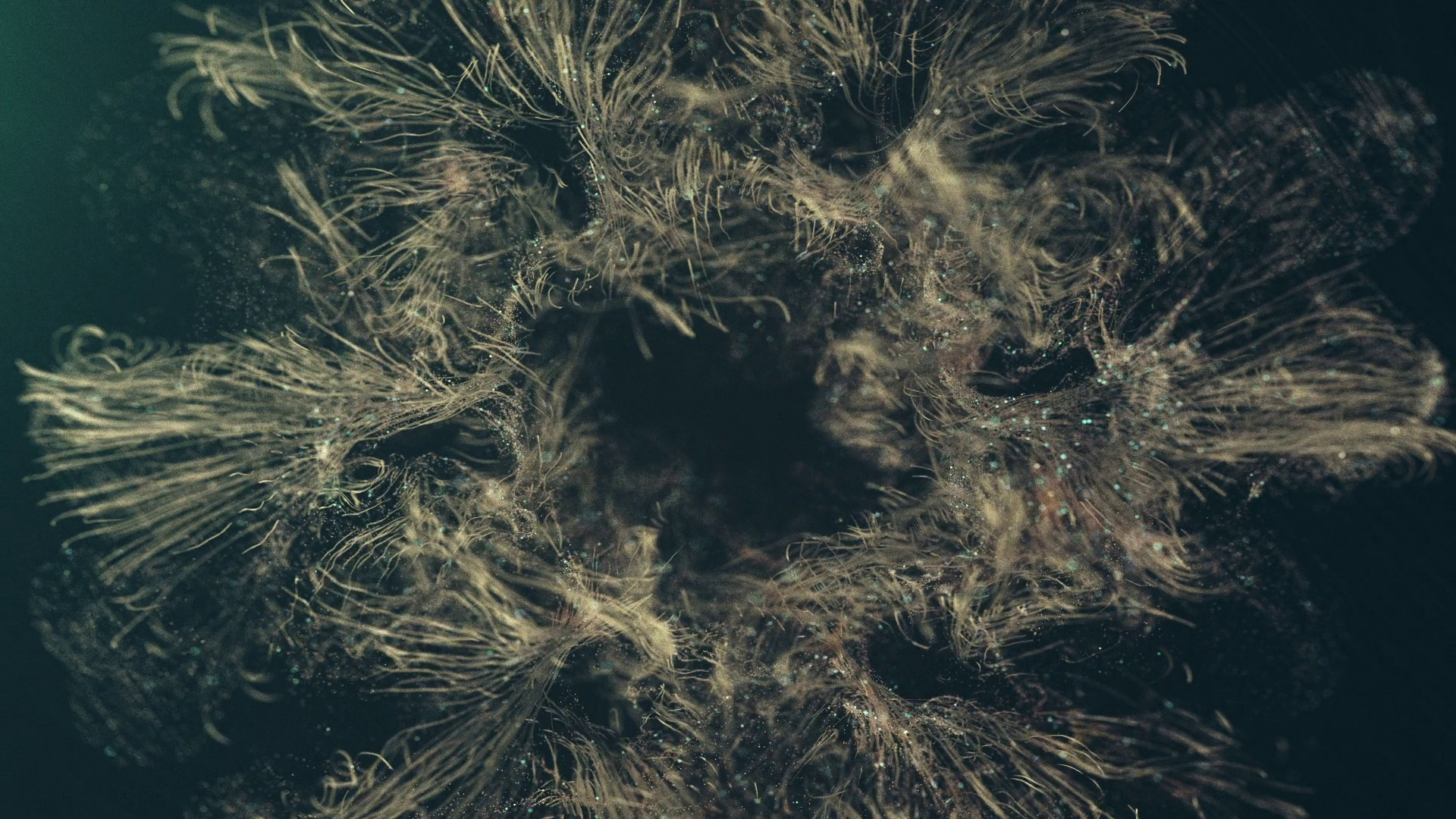 Maxime FAURE - Smoky sound