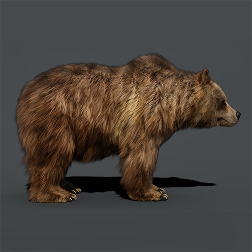ArtStation - Brown Bear 3D model