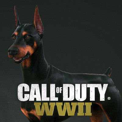 ArtStation - Call of Duty: World War II - Ger Character - 2018