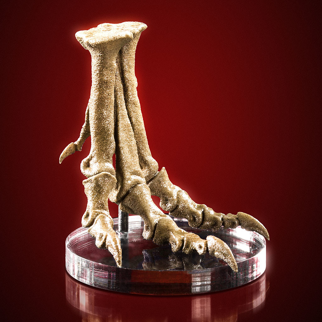 ArtStation - Dinosaur 3D printed foot bones - Tyrannosaurus