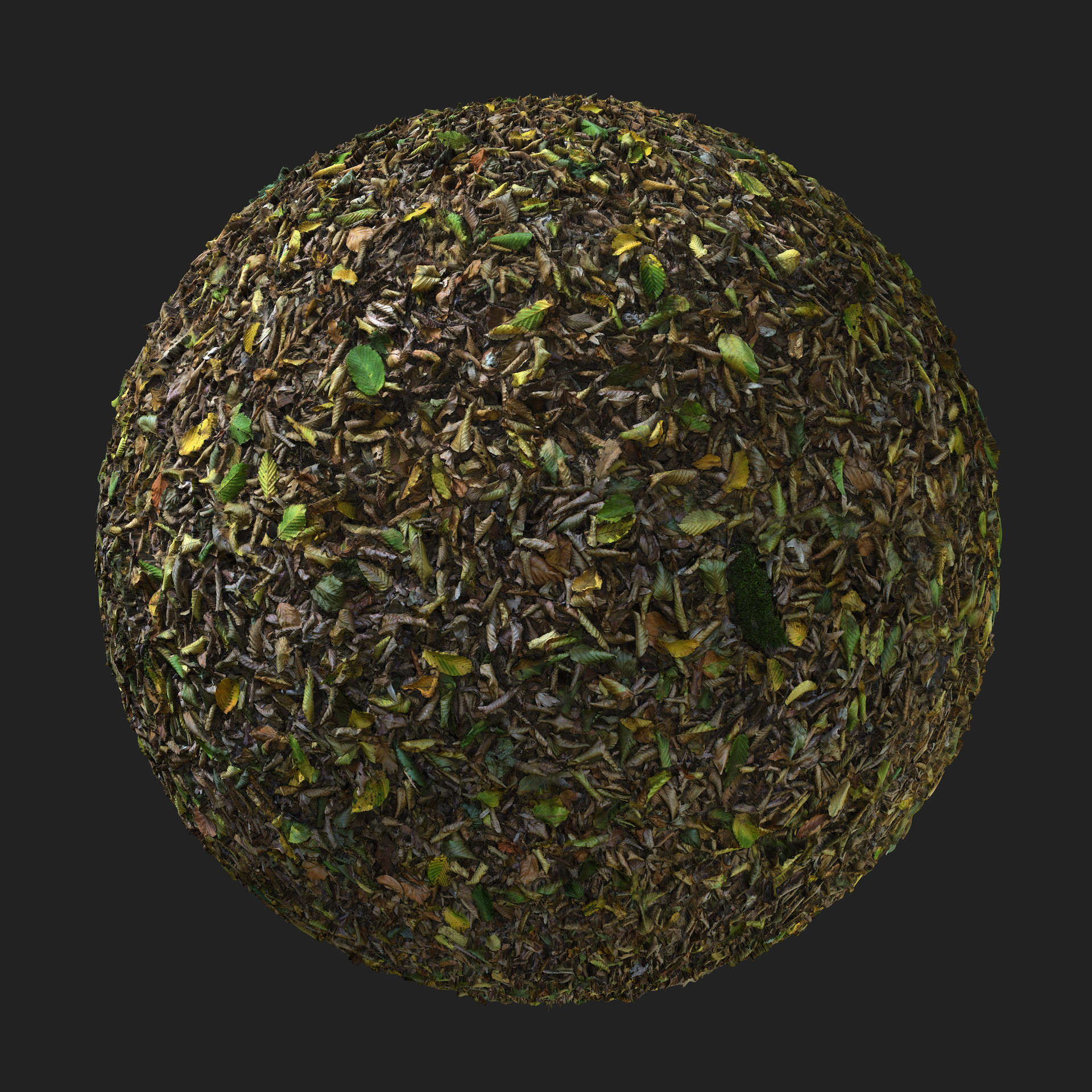 ArtStation - Leafy Forest Floor #02 - Photogrammetry Based Material